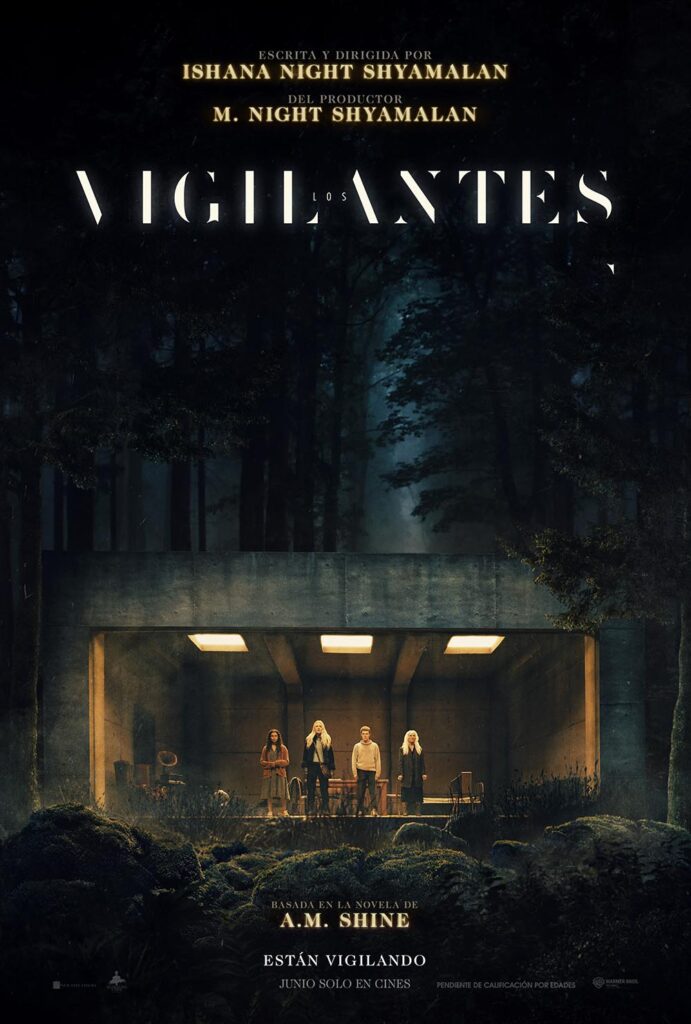 Crítica: Los vigilantes